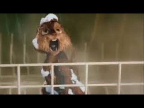 Who is getting the best head? - YouTube