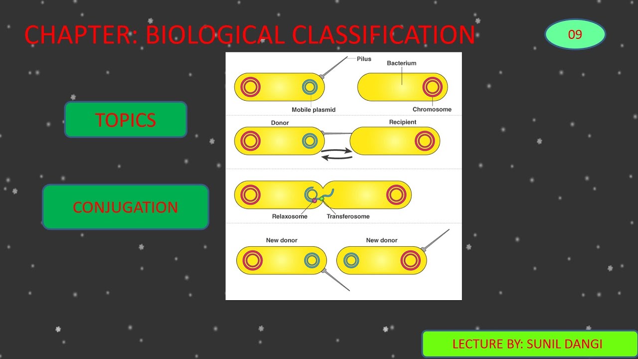 L 09 Conjugation || Biological Classification || NEET Biology - YouTube