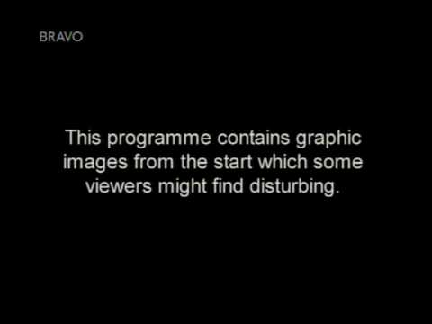 Bravo ident 2008 to Present - D - YouTube