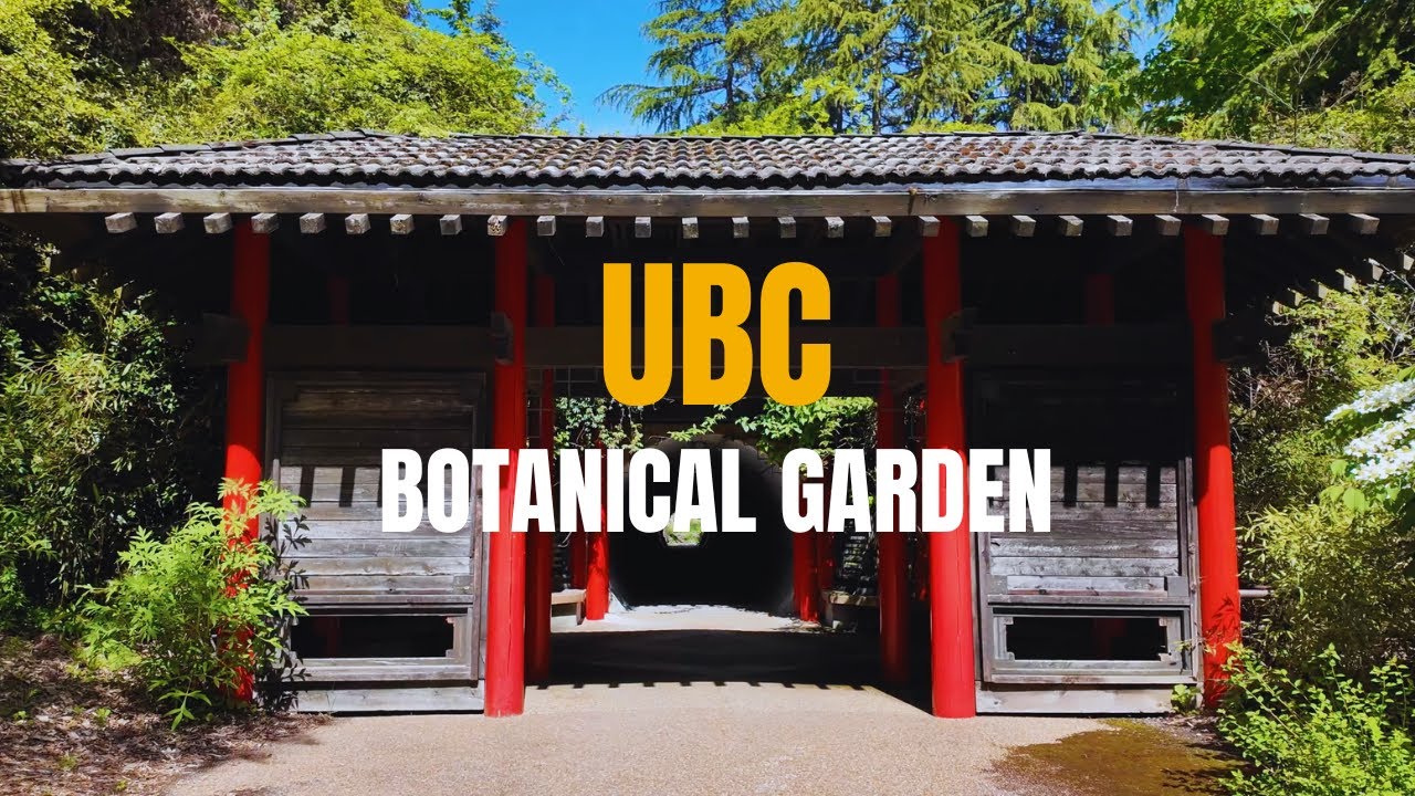 UBC Botanical Garden Tour 2024 - YouTube