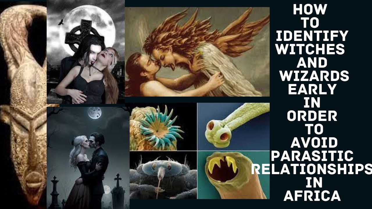 How to Identify Witches and Wizards Early in Order to Avoid Parasitic ...