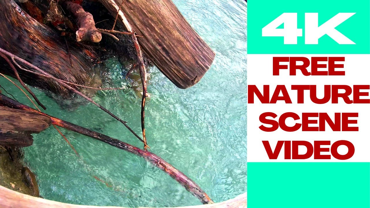 nature 4K 087 👉 Nature Scene Video - YouTube