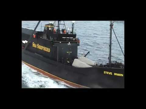 Japon Gemisine Korsan Saldırısı | Pirates attack the Japanese ship