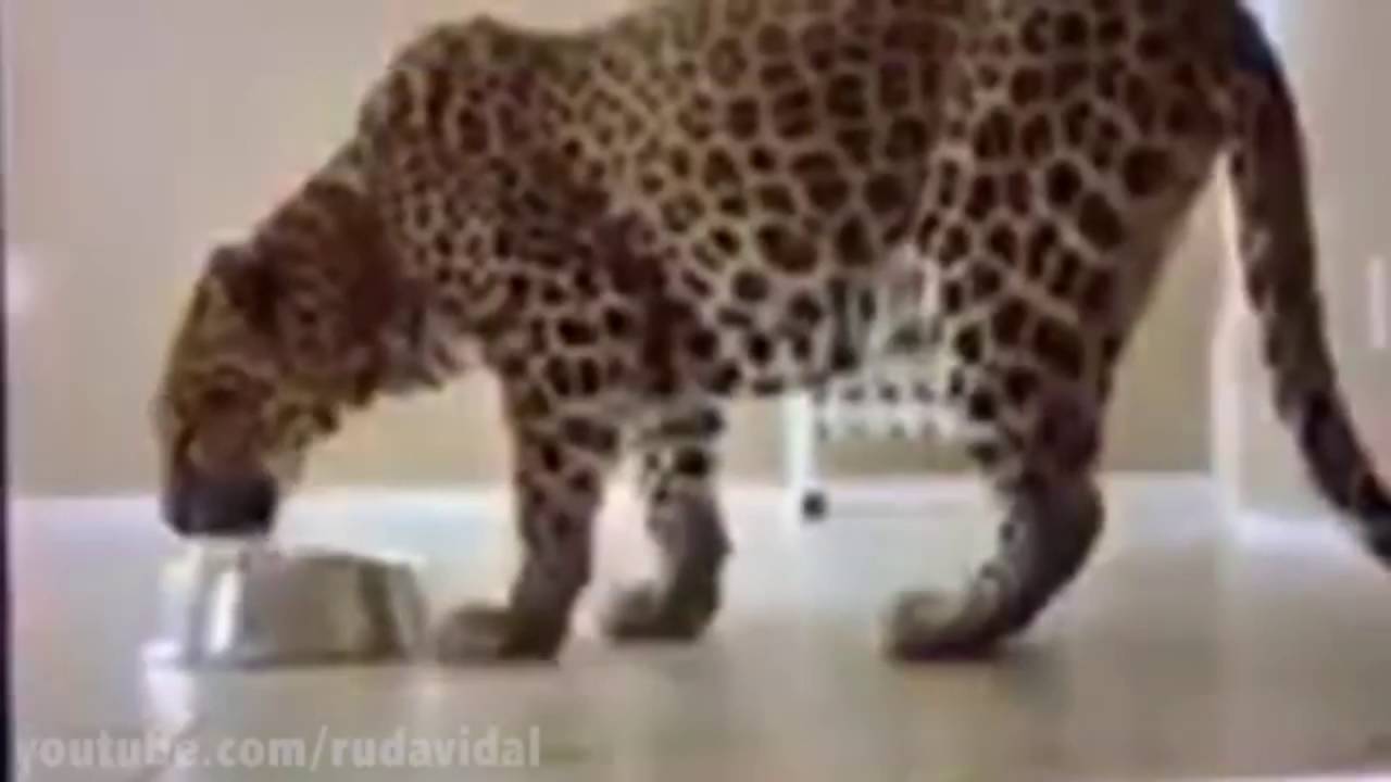 M@K3 M3 - Qu33n Br!Tn3y - YouTube