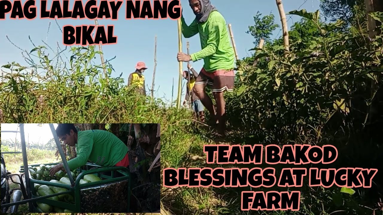 PAG LALAGAY NANG BIKAL/BLESSINGS PARA SA TEAM BAKOD AT LUCKY FARM - YouTube