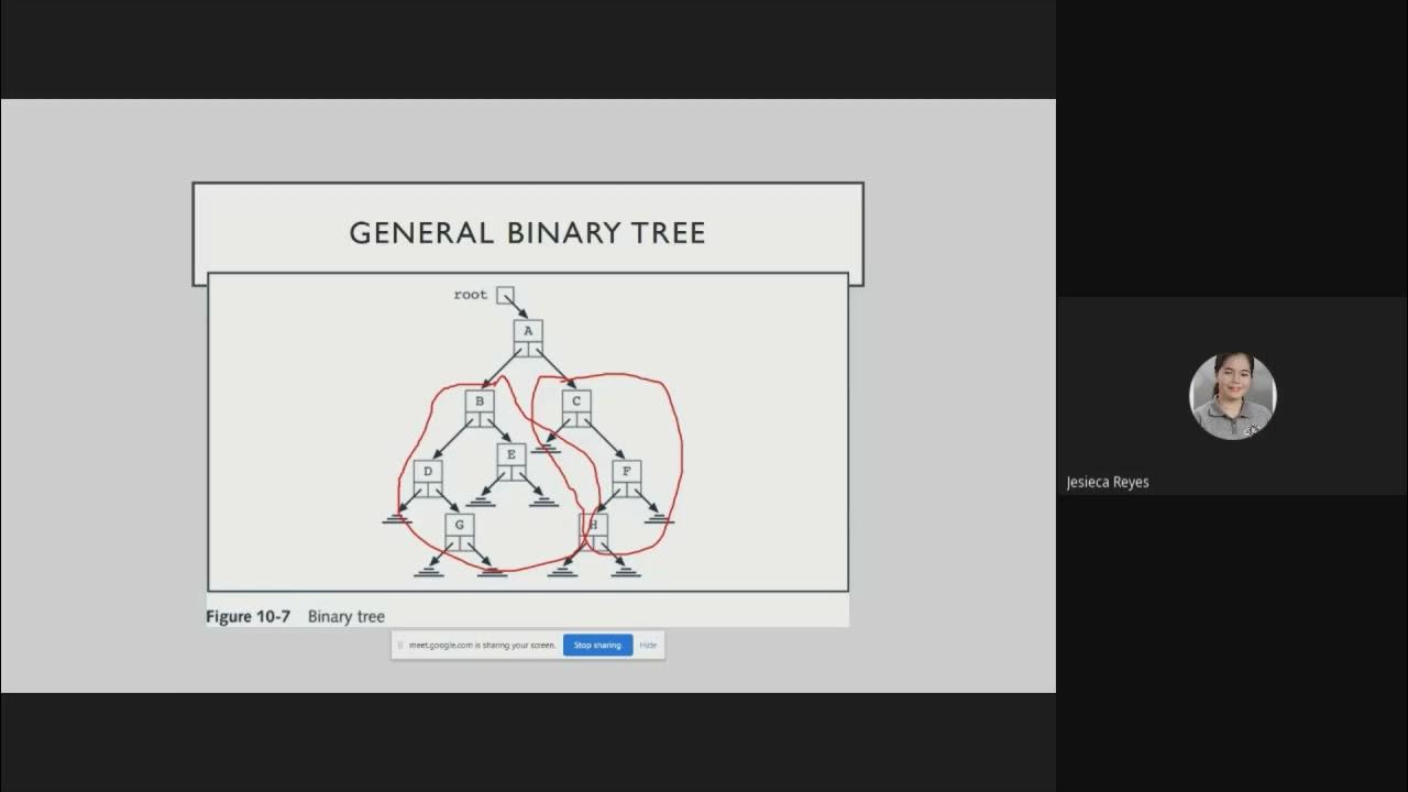 Binary Search Tree - YouTube