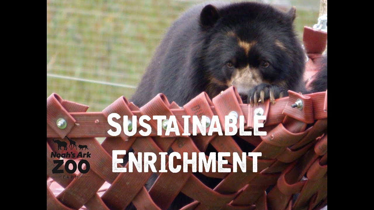 How to create sustainable animal enrichment - YouTube