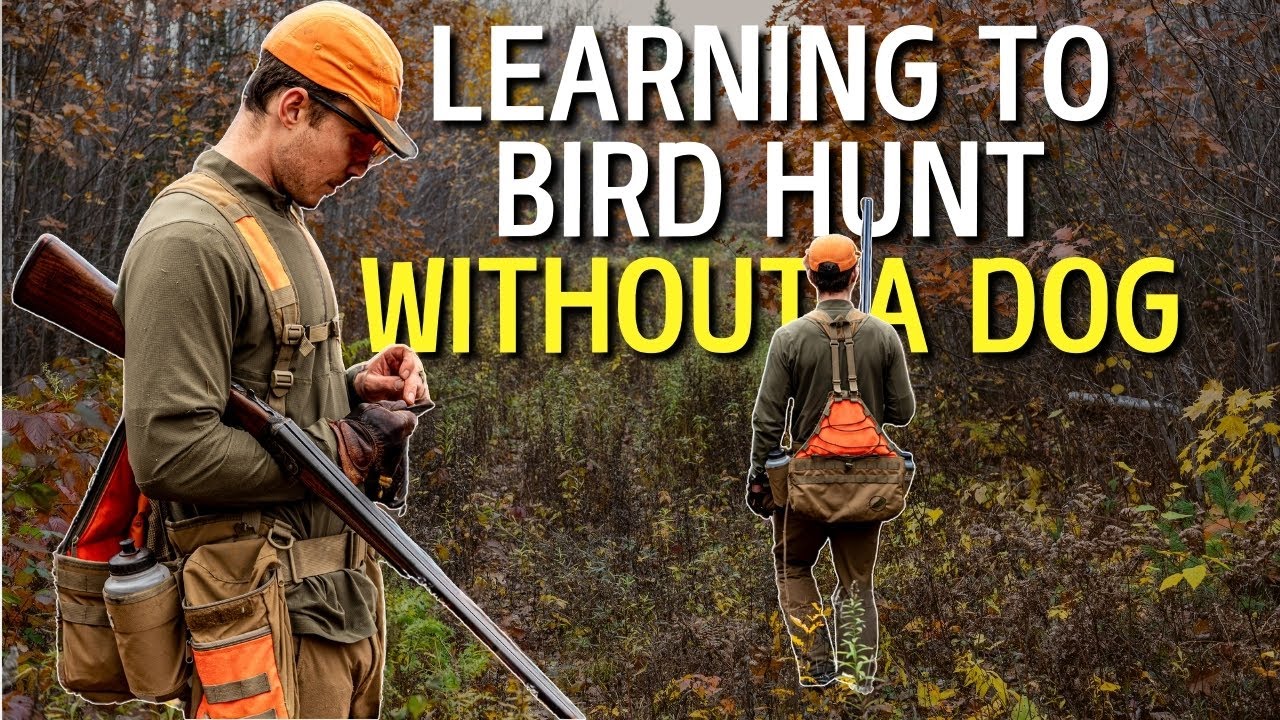 Hunting Without Dogs: Is It Worth It? - YouTube