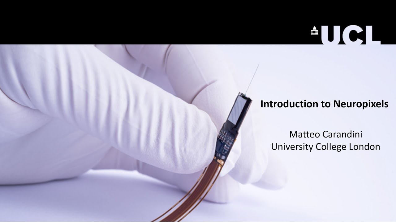 2022 Lecture 01 Introduction to Neuropixels (Carandini) - YouTube