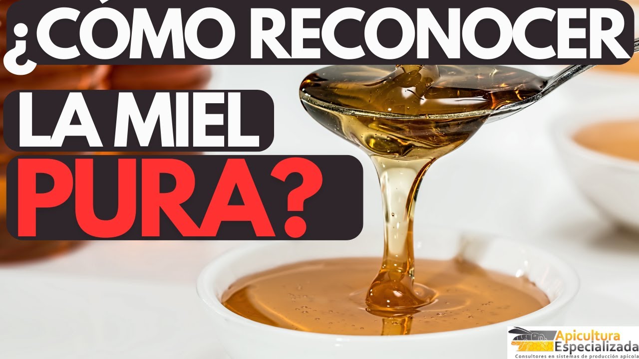 ¿CÓMO RECONOCER SI UNA MIEL ES PURA? Lecciones de Apicultura - YouTube