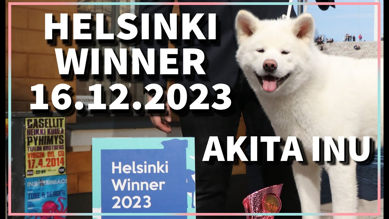 Helsinki Winner Dog Show 2023 - YouTube