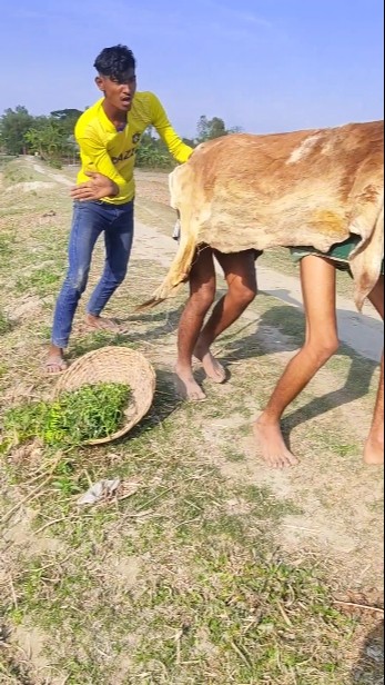 The cow ate grass? - YouTube