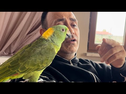 Ameliyattan sonra Melo ile ilk video ve ilk buluşma