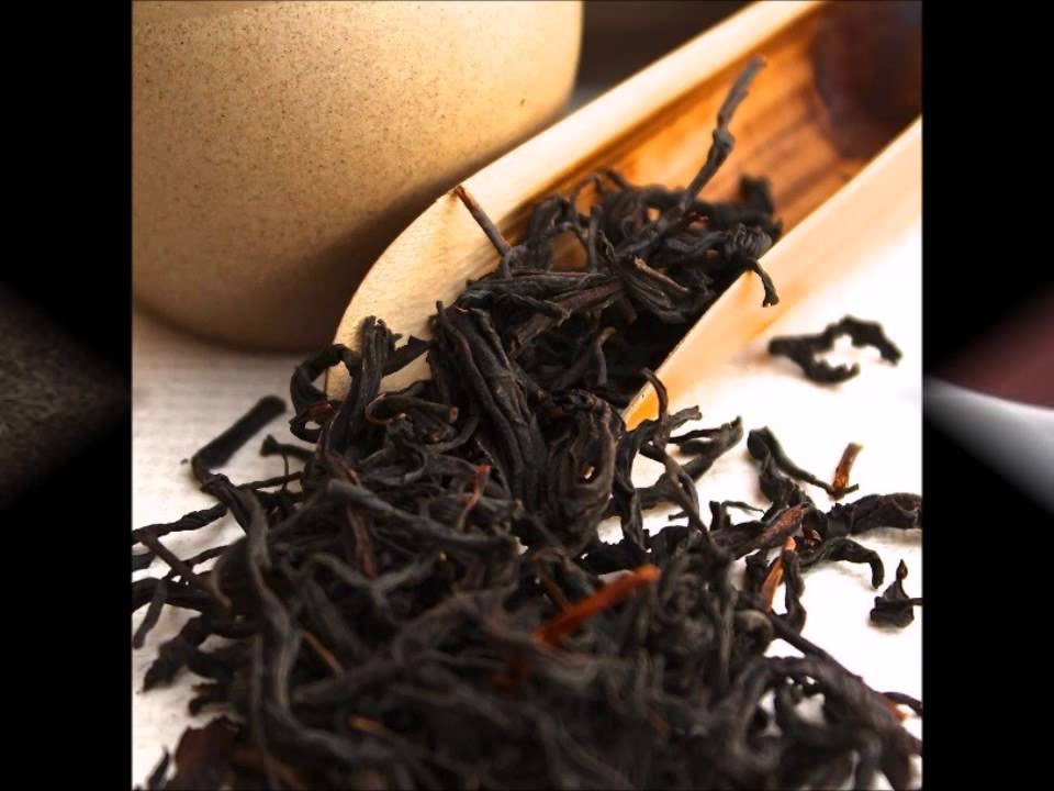 Boba Land Video Version 2 - YouTube