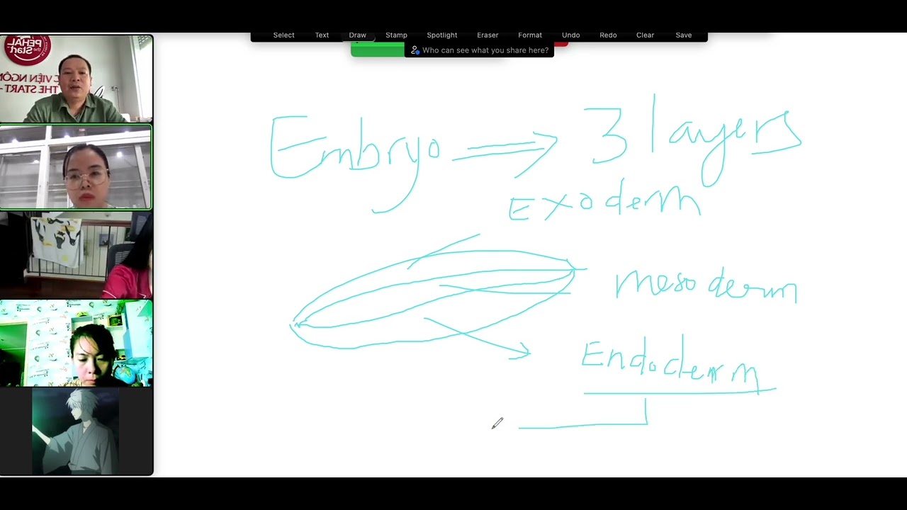 EMBRYO - ENDODERM - EXODERM - MESODERM - VERTEBRATE - YouTube