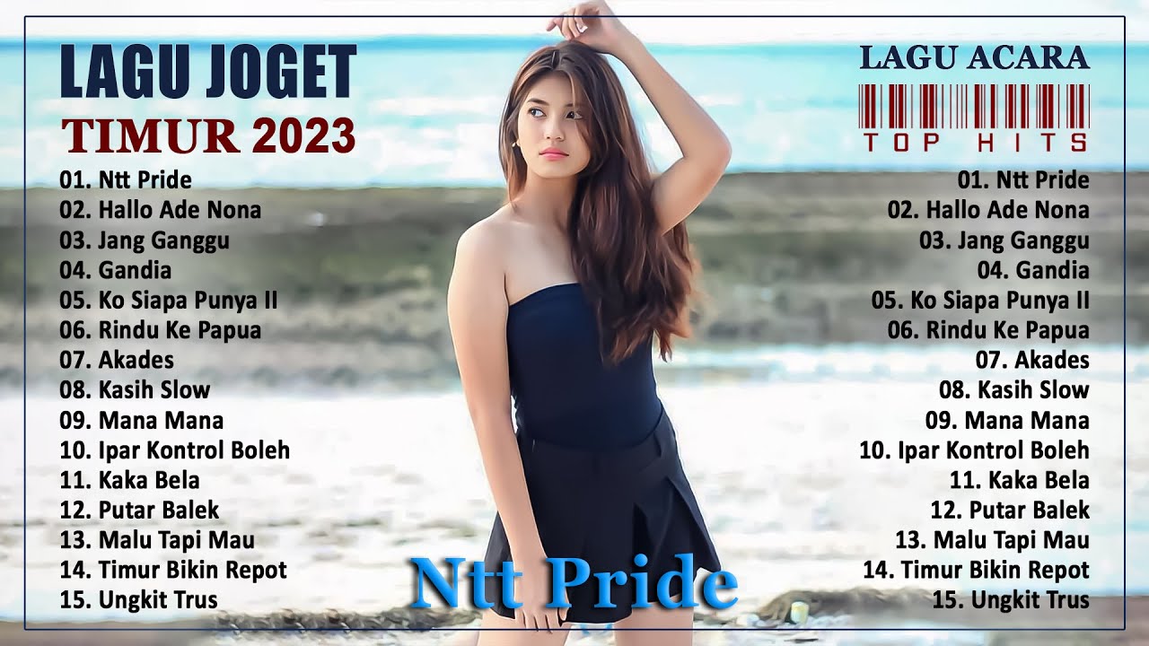 KUMPULAN LAGU ACARA TIMUR INDONESIA - LAGU JOGET TIMUR TERBARU 2023 ...