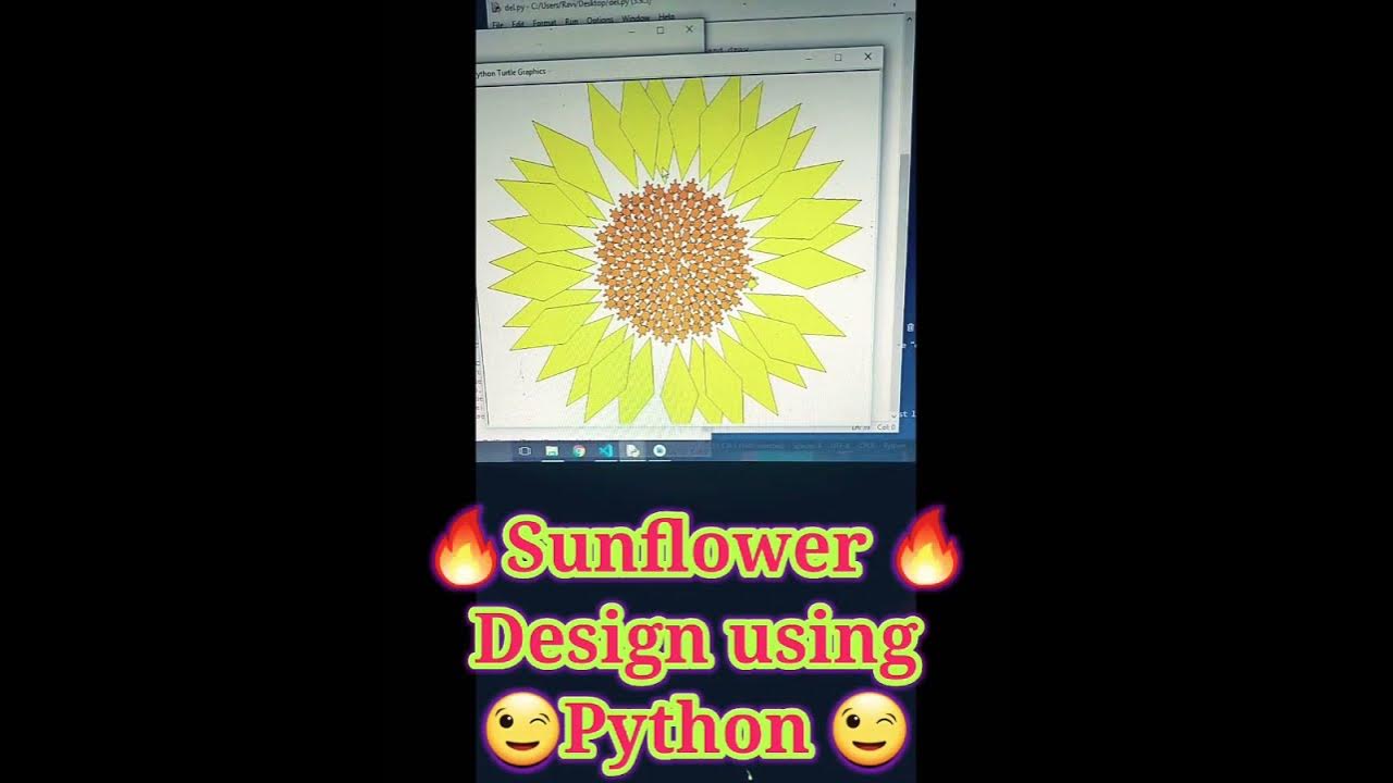 🔥🔥python Use Making Sunflower 🌻 Python Turtle Design Pythons Pythonturtle Coder Youtube