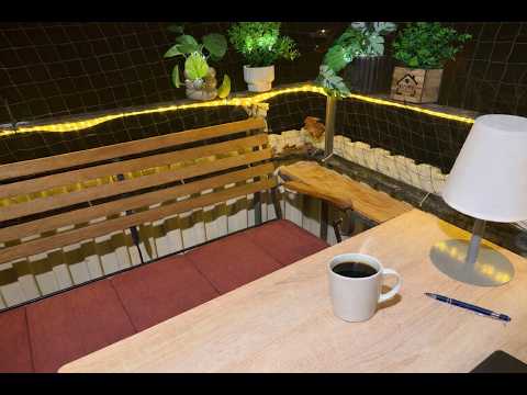 Balkongeflüster #276 - Gespräche auf dem Balkon