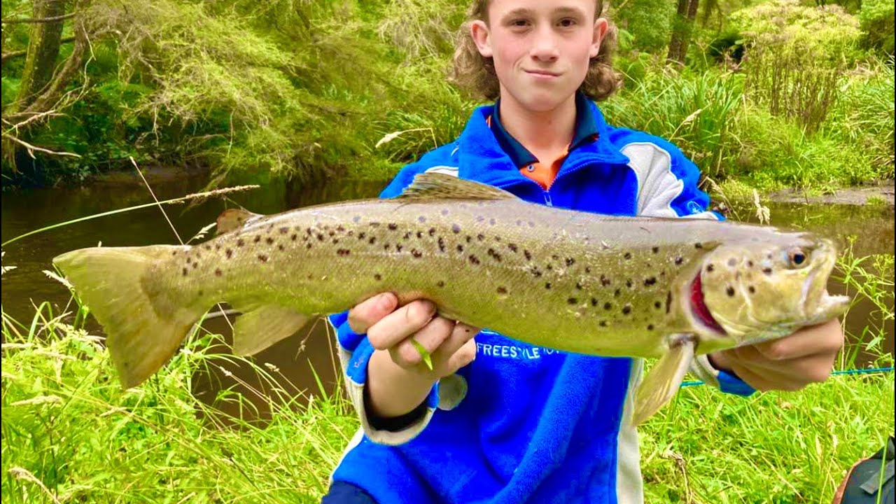 Catching MONSTER Trout Using Lures! - YouTube