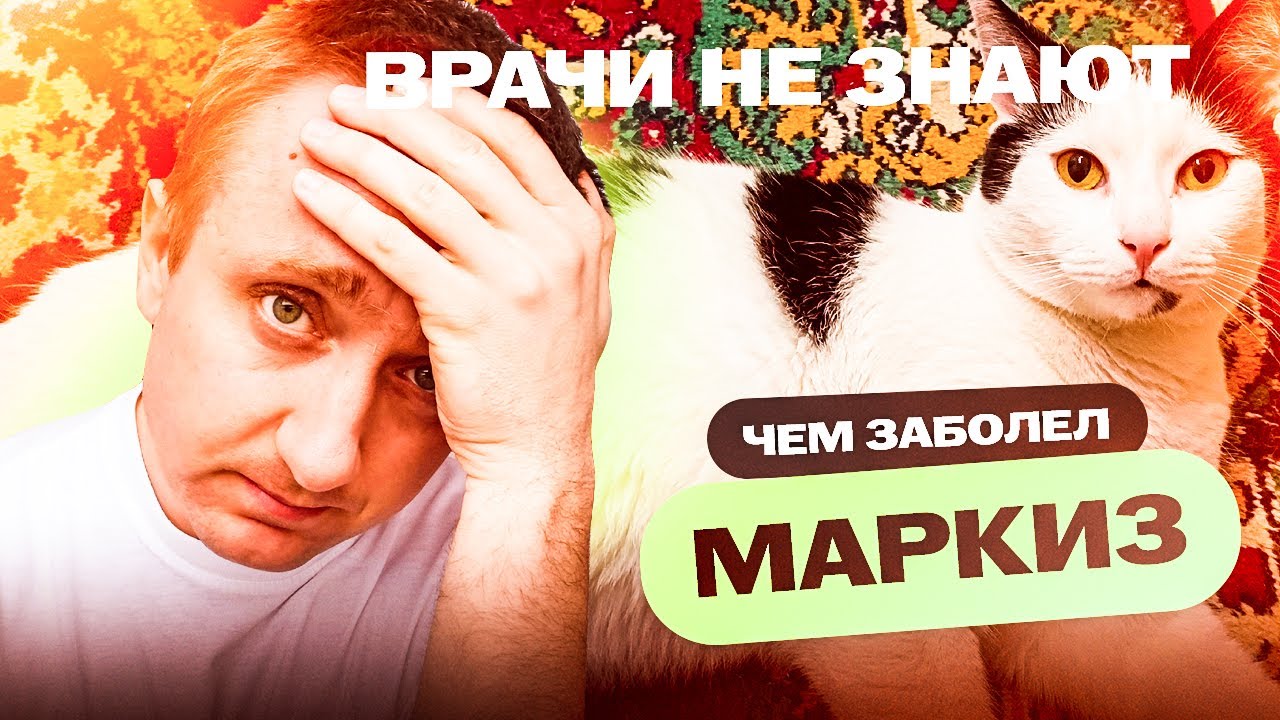 Очередной поход в ветклинику Врачи не знают как помочь Маркизу Youtube
