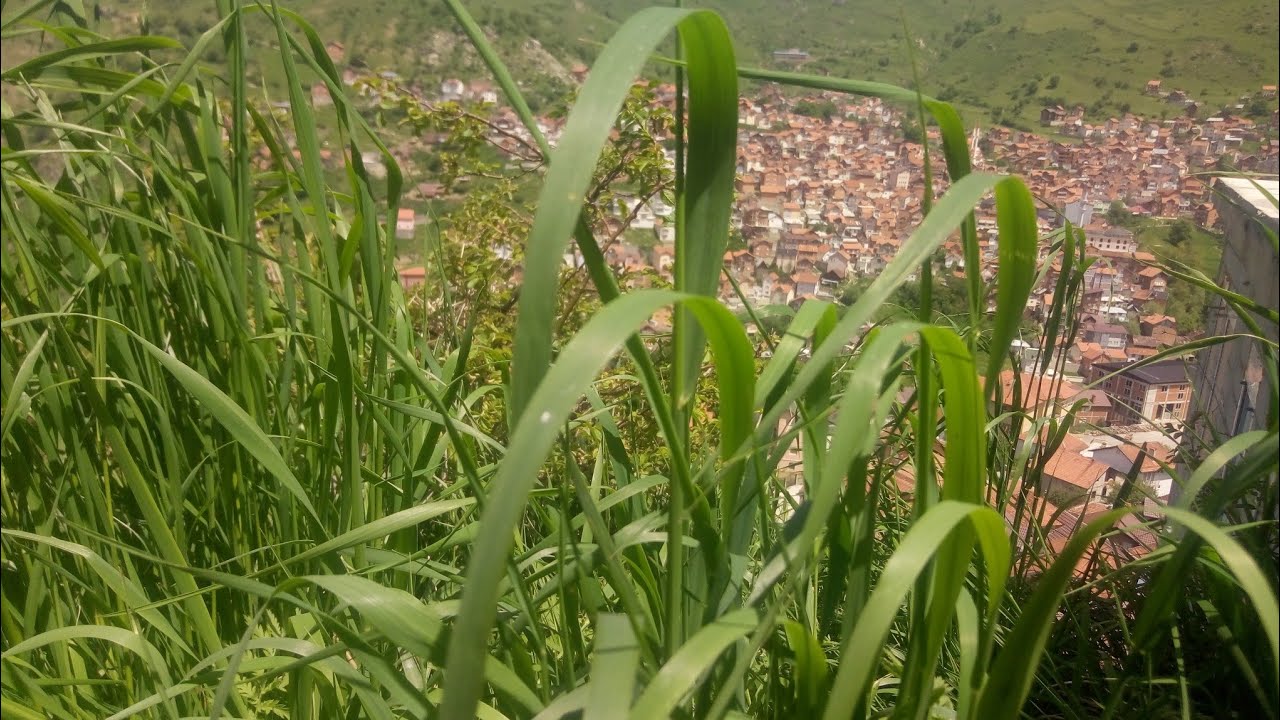 Restelica 2019 HD - YouTube