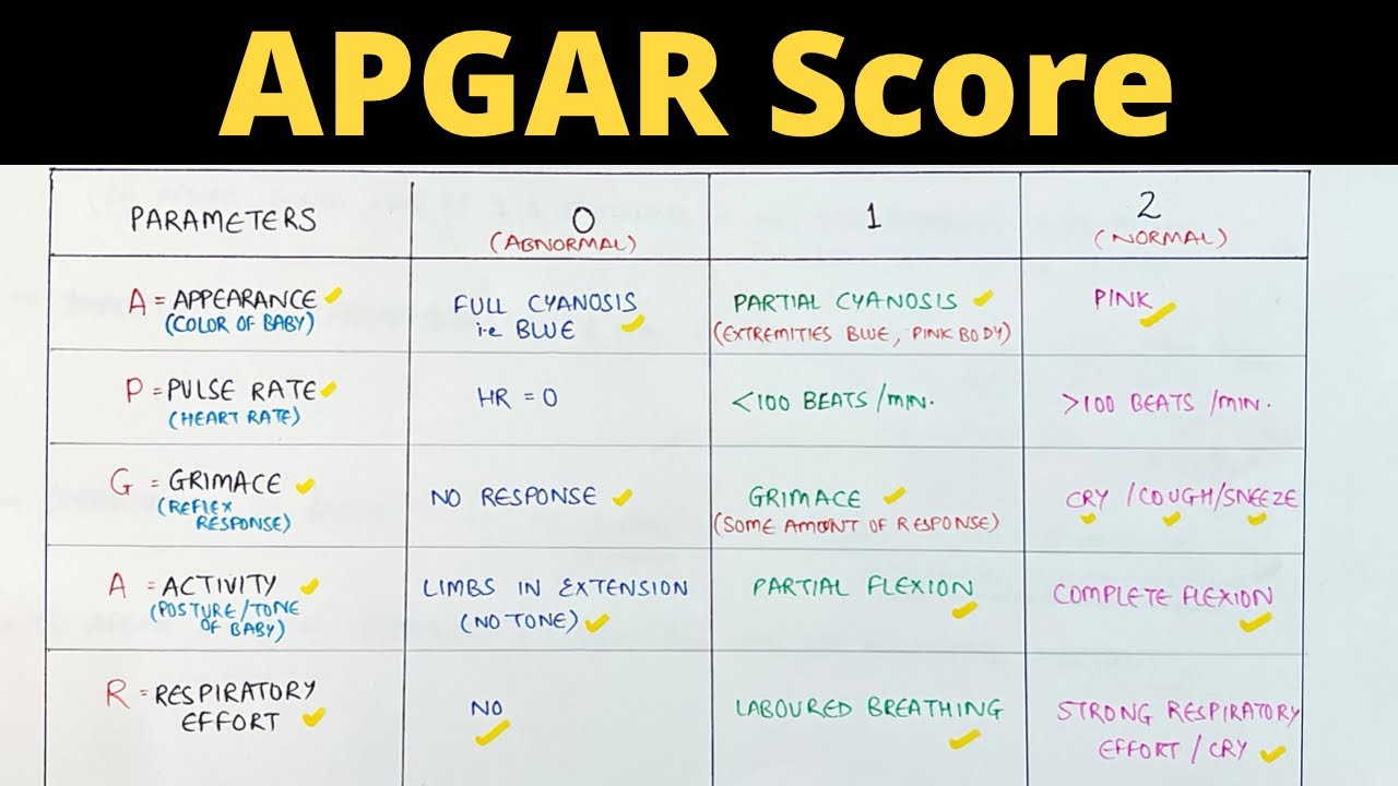 How To Calculate APGAR Score Evaluation Of Newborn Pediatrics YouTube