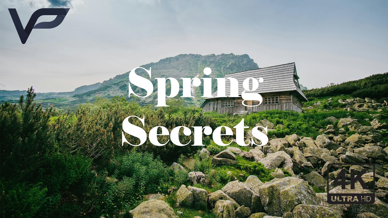Spring Secrets: Discover the Hidden Beauty of Nature’s Favorite Season ...
