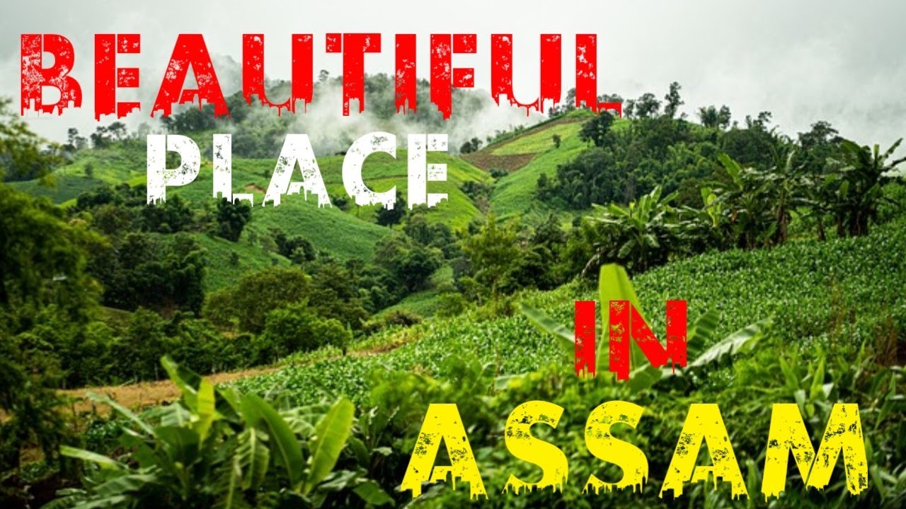 Beautiful Place In Assam @DimpusVlogs - YouTube