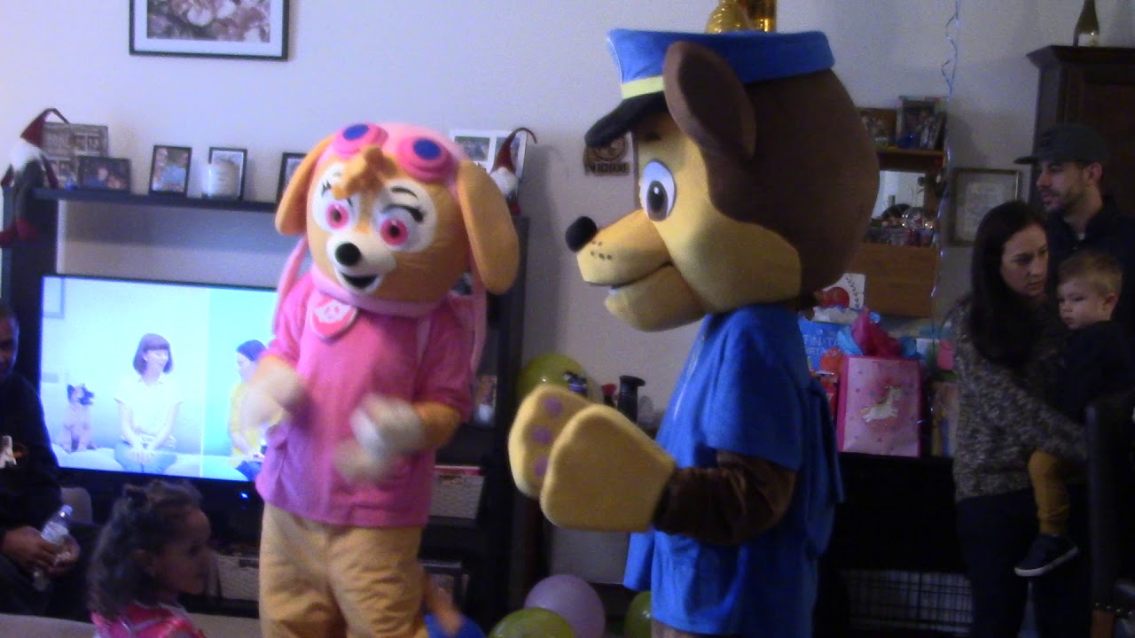 Dogs - YouTube