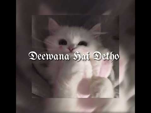 Deewana Hai Dekho - Kabhi Khushi Kabhie Gham (bollywood song) - speed up | instagram: jxvnav