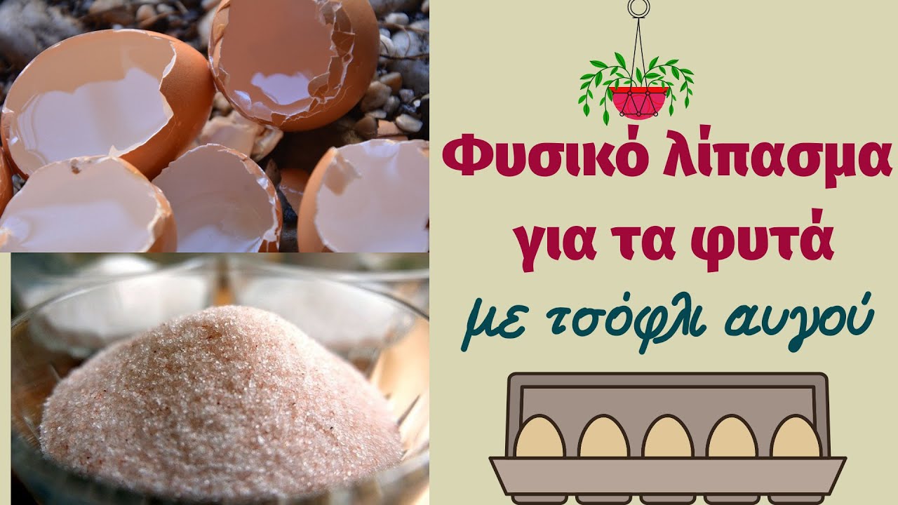 Φυσικό λίπασμα για τα φυτά με τσόφλι αυγού - YouTube