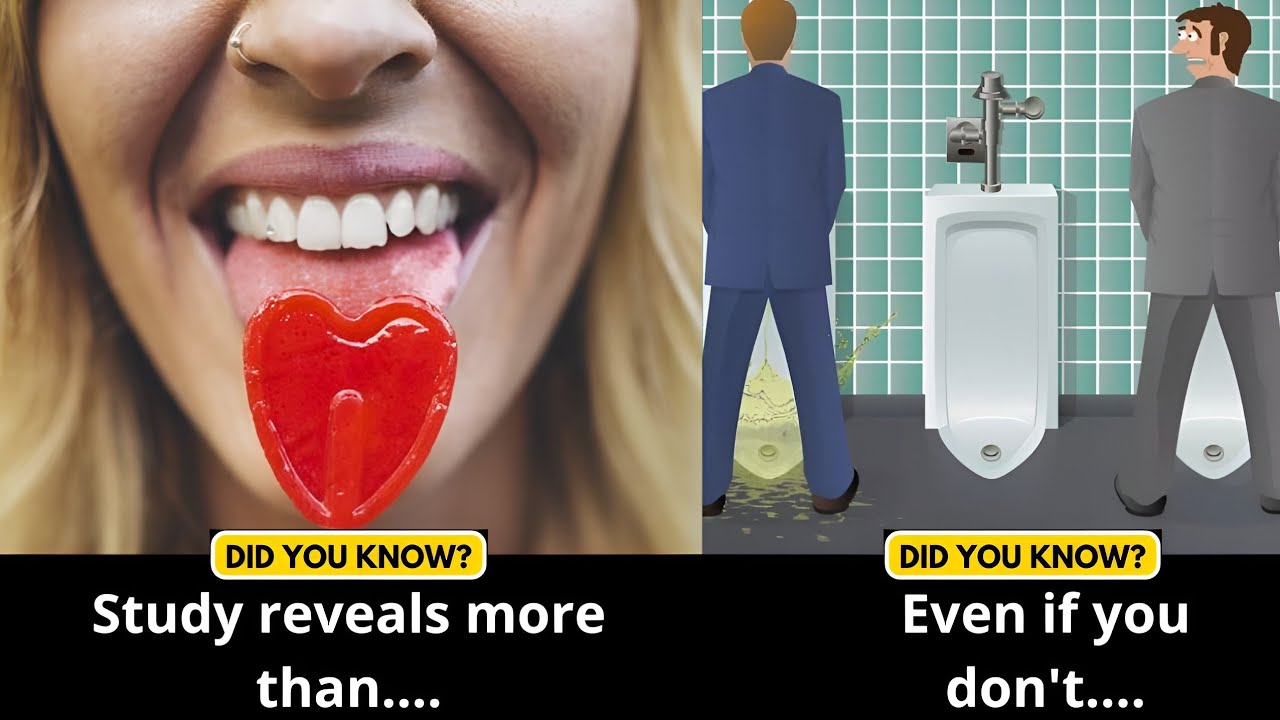 Interesting Facts you should know #2264 // Facts All Day - YouTube