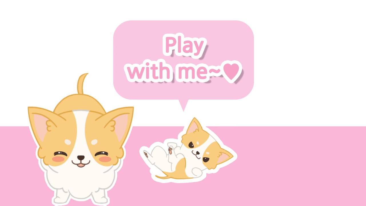 Hellopet - Chihuahua - YouTube