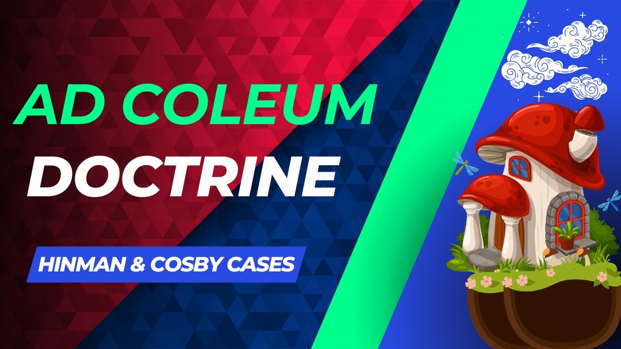 Video# 27: Exploring the 'Ad Coelum' Doctrine: | Analyses of Heinman ...