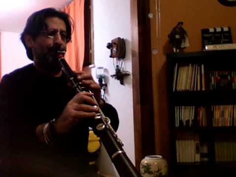 Testing my new instrument "TAROGATO" - YouTube