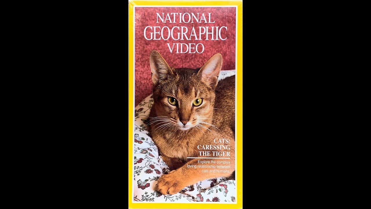 Opening and Closing To Cats-Carrassing The Tiger 1992(1993 CTHV Reprint ...