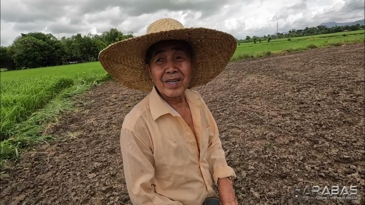 EP760-P1 - Pagtatanim ng Iba’t ibang Gulay sa Bukid - YouTube