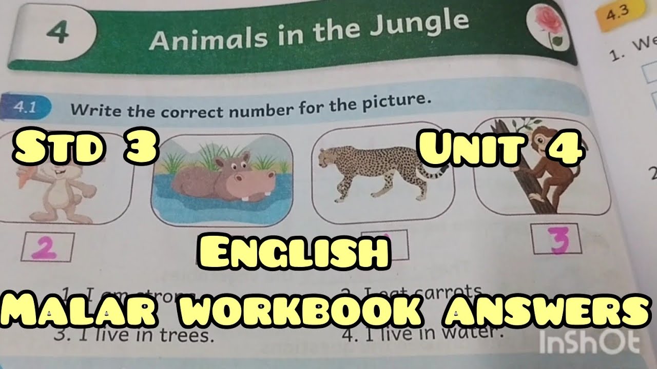 3rd std Unit 4 Animals in the jungle/English malar workbook answers ...