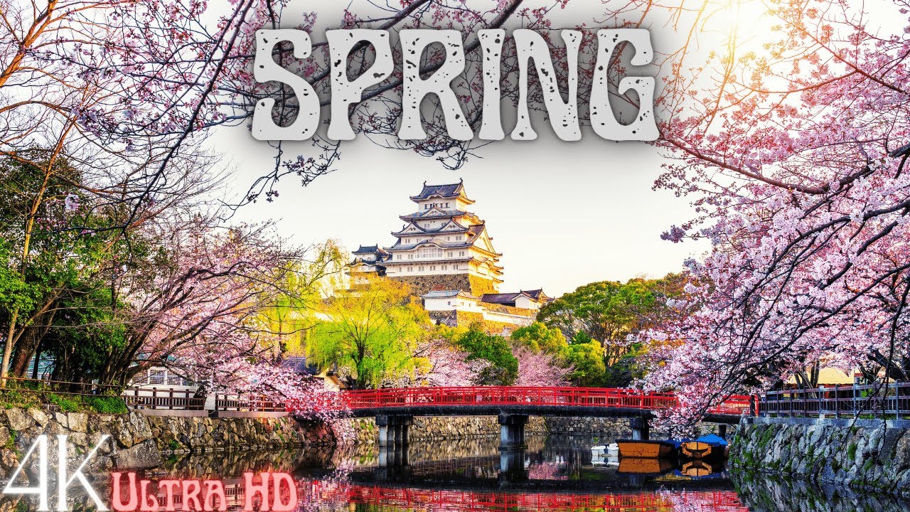 Spring ! Beautiful Relaxing Music with a Flute, Cello, Guitar & Piano ...