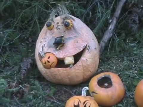 Canibal Pumpkin - YouTube