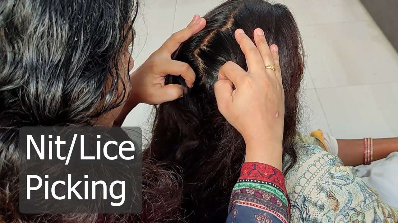 My Maid's nit lice picking - dense high volume hairs | ASMR Pakistan ...
