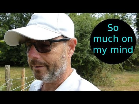 My new life alone in the country - Starting again at 50 - YouTube