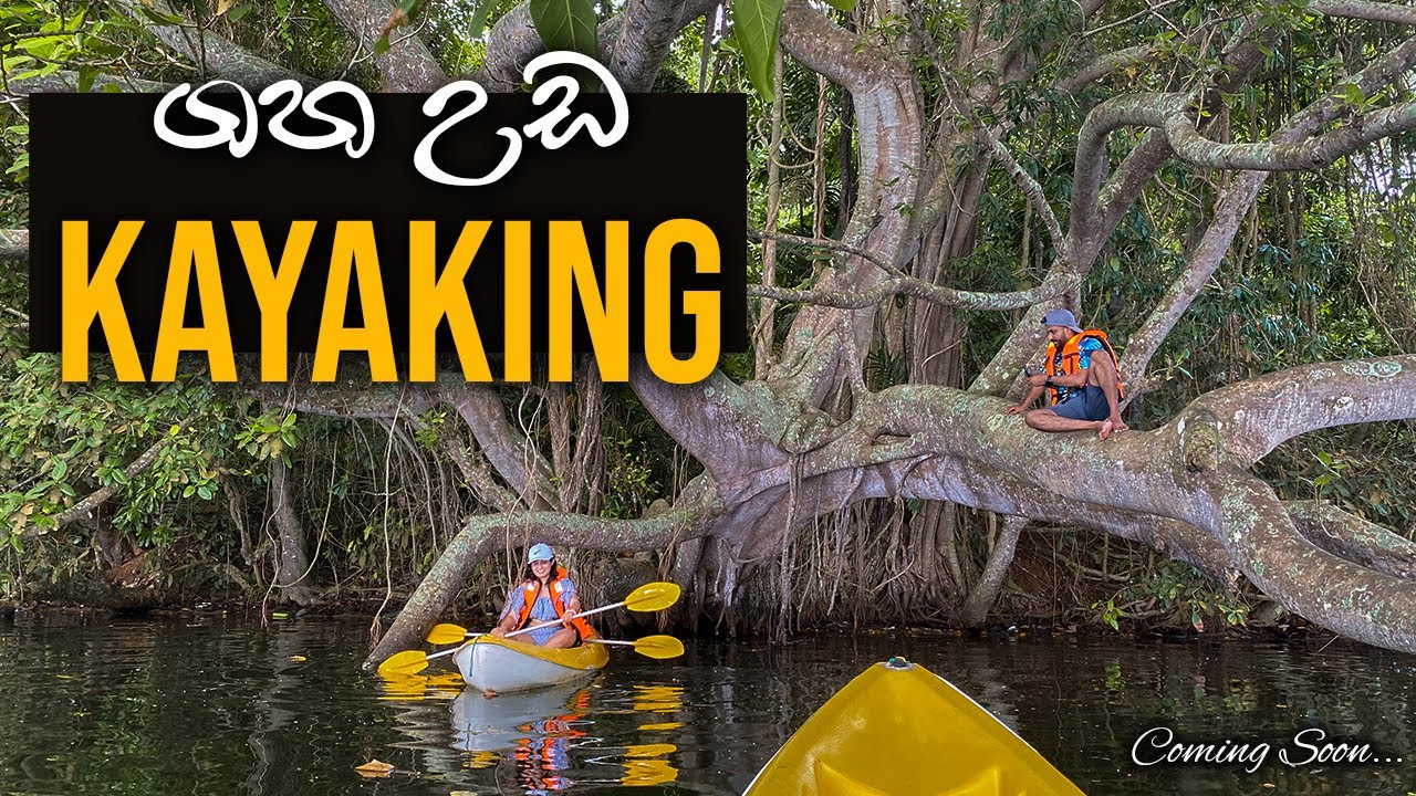 Adventure Kayaking 🚣🏻‍♀️ | Hikkaduwa | Trailer - YouTube