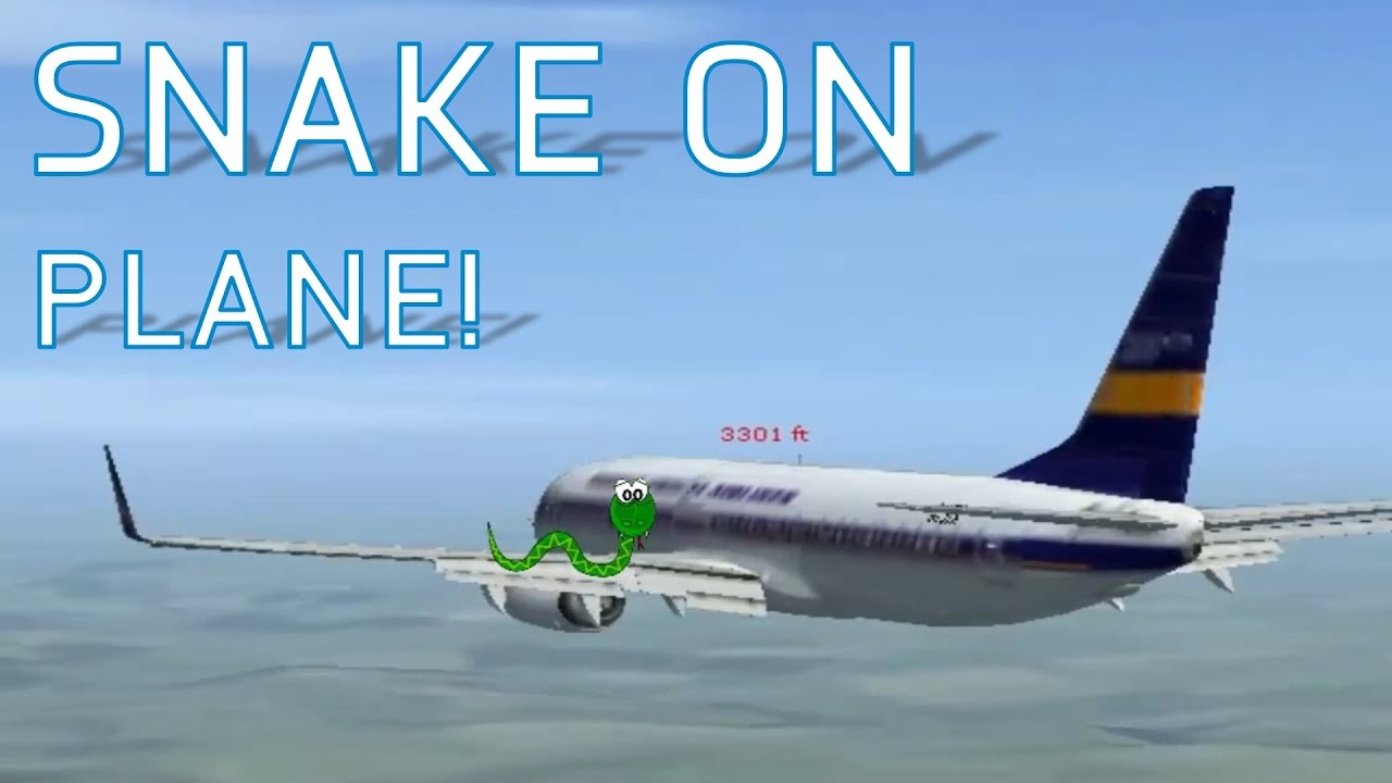 FSX Snake on Plane | World Travel - Boeing 737-800 - YouTube