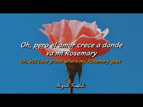 Edison Lighthouse - Love Grows (Where My Rosemary Goes) (Sub. Español / Lyrics)