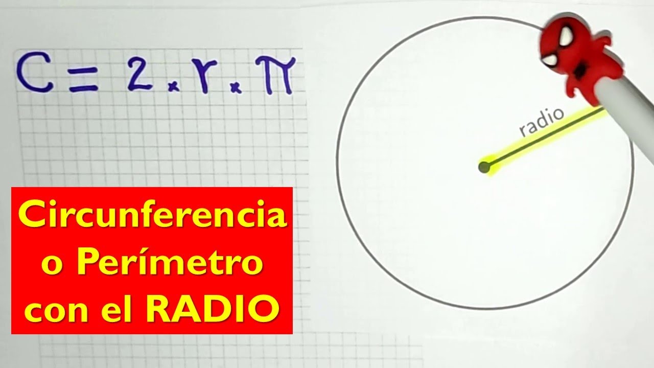Sacar Circunferencia De Un Circulo At Xavier Vara Blog