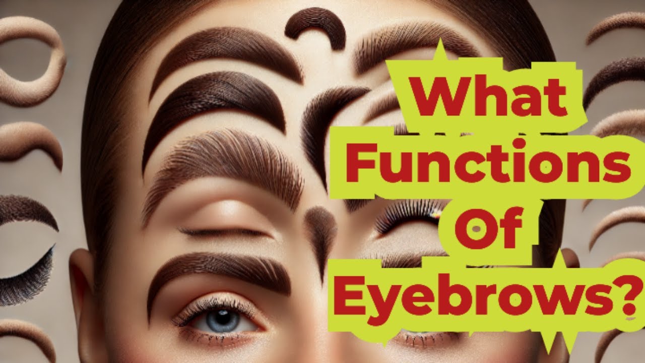 Why Do We Have Eyebrows And What Are Their Functions ? - YouTube