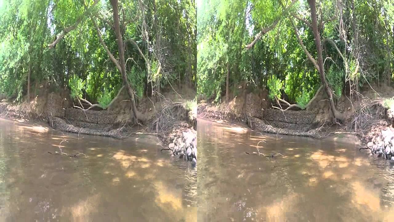 Fort Congaree II Expedition in 3D (Day 1) - YouTube