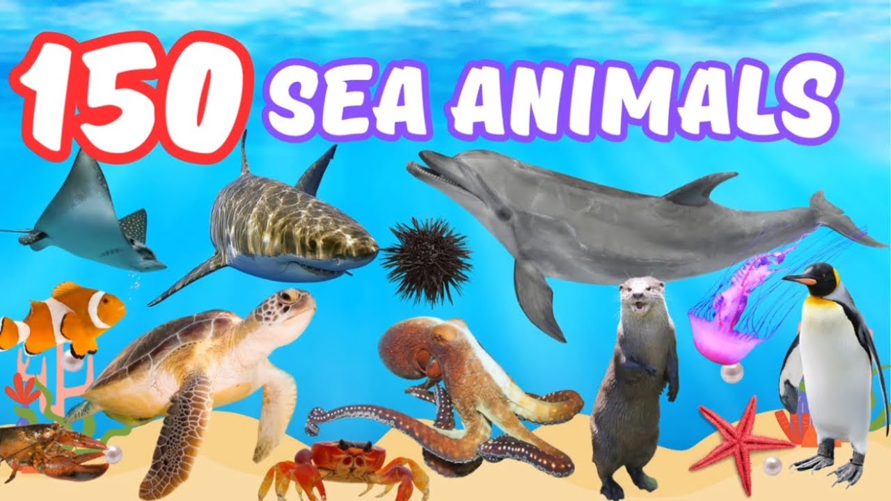 150 Amazing Sea Animals for Toddlers & Kids! English Vocabulary | Fun ...