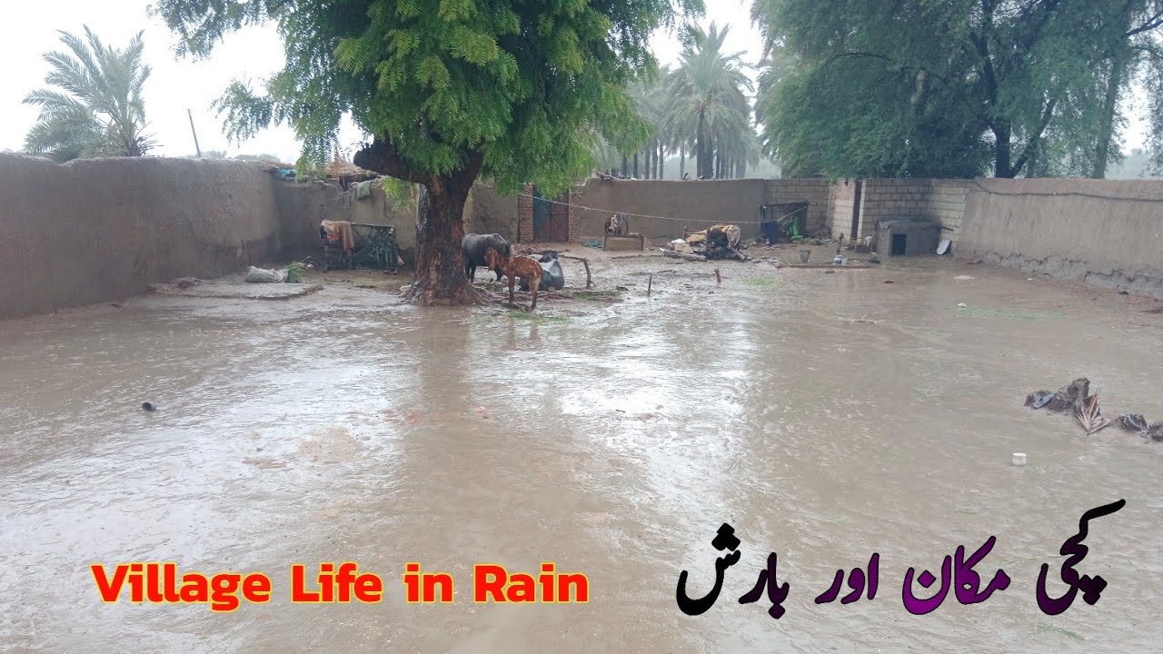 Kachay Makan Aur Barish 🌧️ || Rain in Village | Rain Weather in Village ...